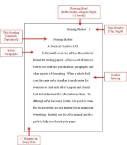 APA Essay Format Template (Word)