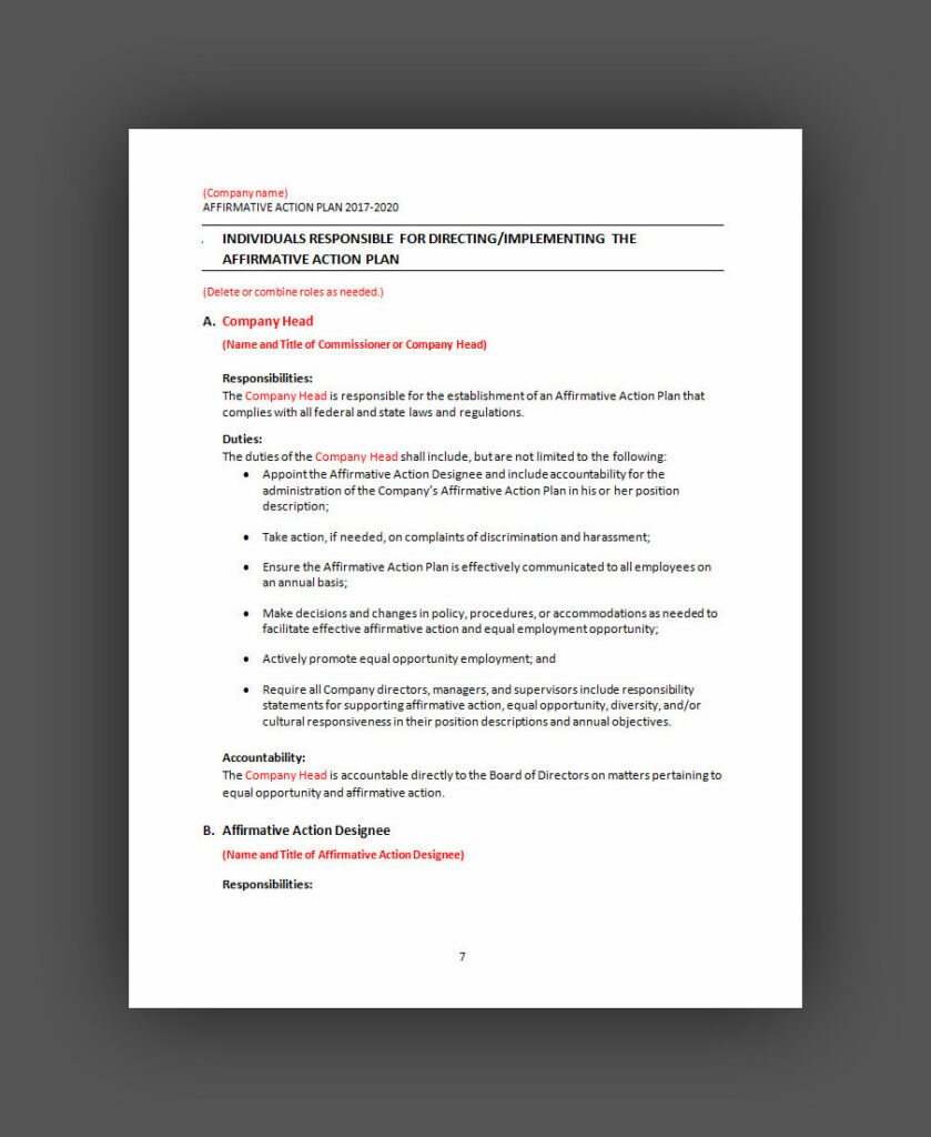 Free Affirmative Action Plan Template (Word)
