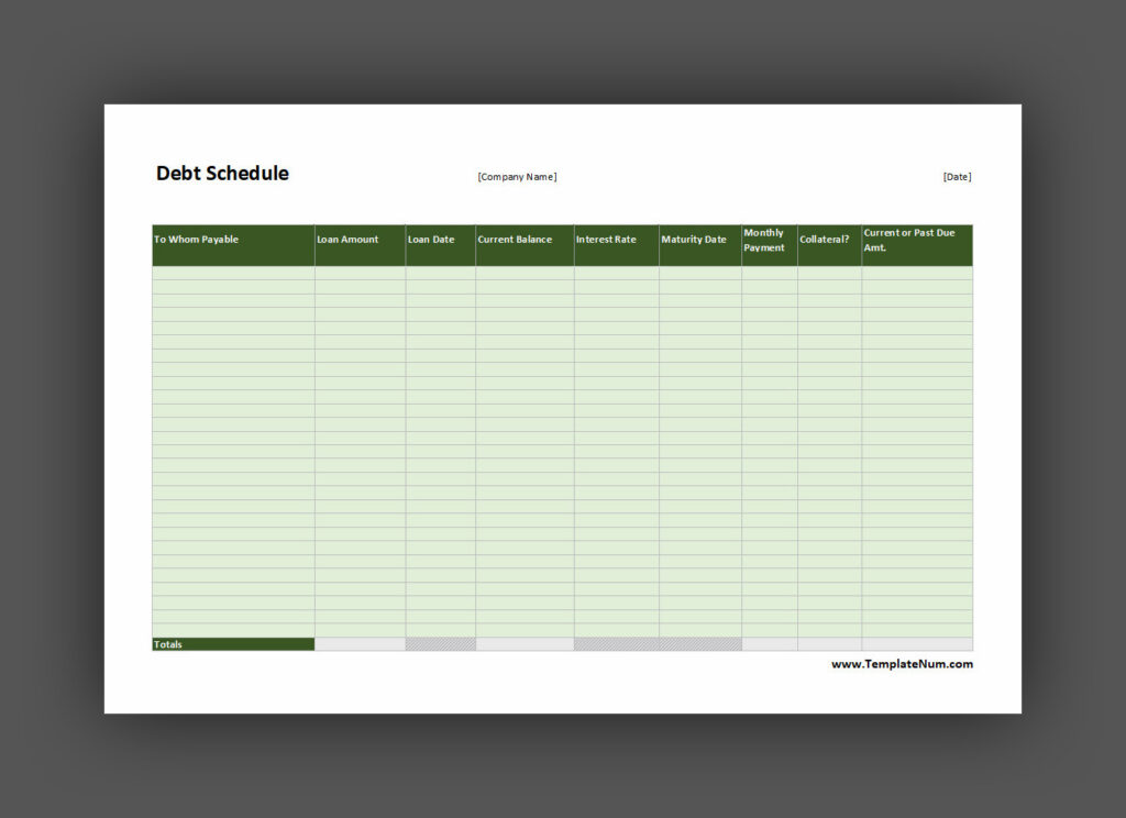 Free Debt Schedule Template (Excel)