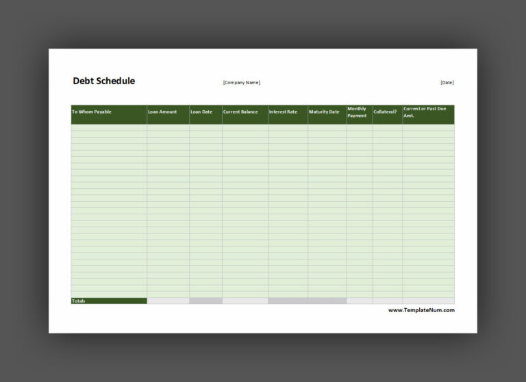 Free Debt Schedule Template (Excel)