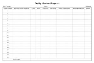 Daily Sales Report Template (Excel)
