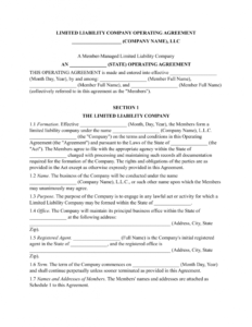 Multiple Member LLC Operating Agreement Template