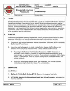 Free Standard Operating Procedure Template (Word)