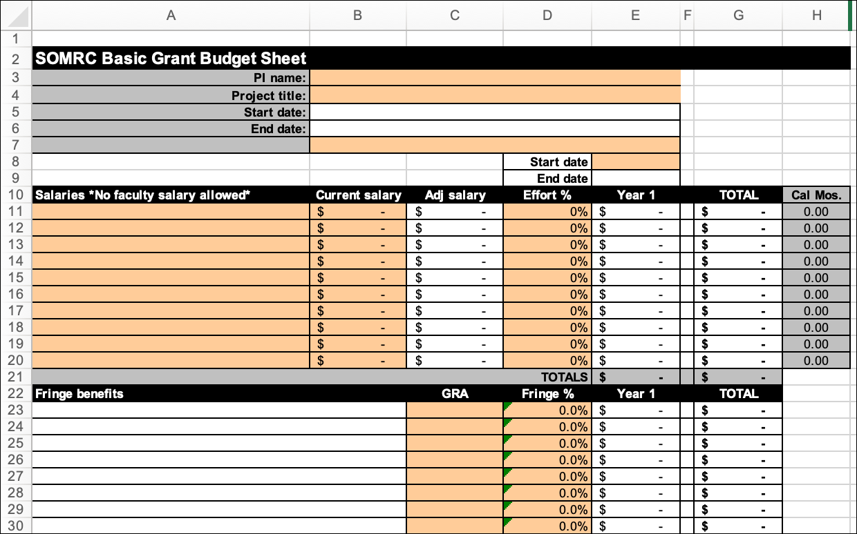 Non profit Program Budget Template