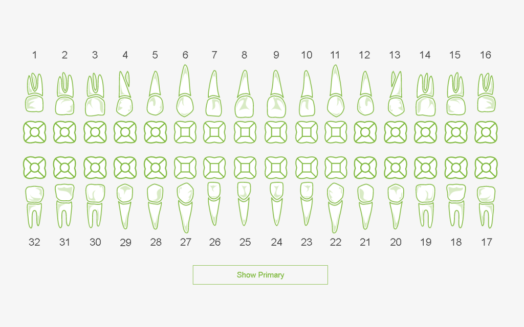 Printable Dental Chart Template