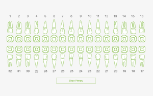 Printable Dental Chart Template