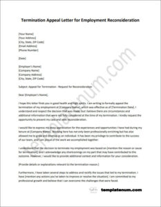 Termination Appeal Letter for Employment Reconsideration